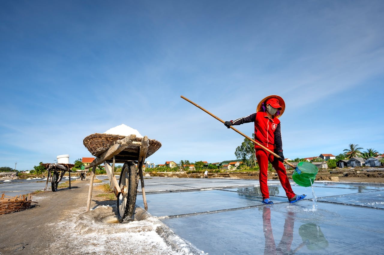 what is the salt processing plant
