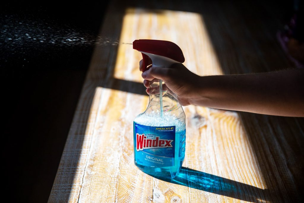 Windex's Ant-Killing Power: Unveiling the Truth