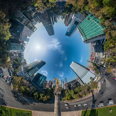 Unveiling Ants' Remarkable Vision: Do They Possess 360 Vision?