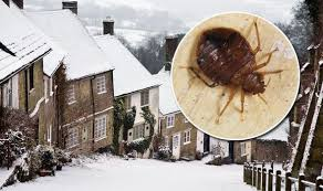 Bed Bug Freezing: Unraveling the Chilling Potential