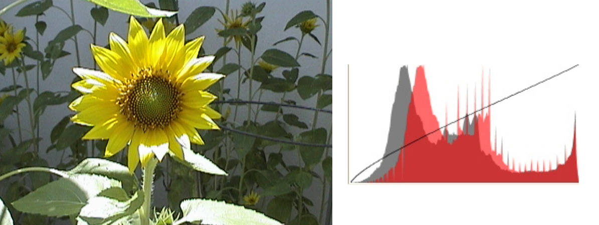 What is Exposure in Photography | TYX Studios