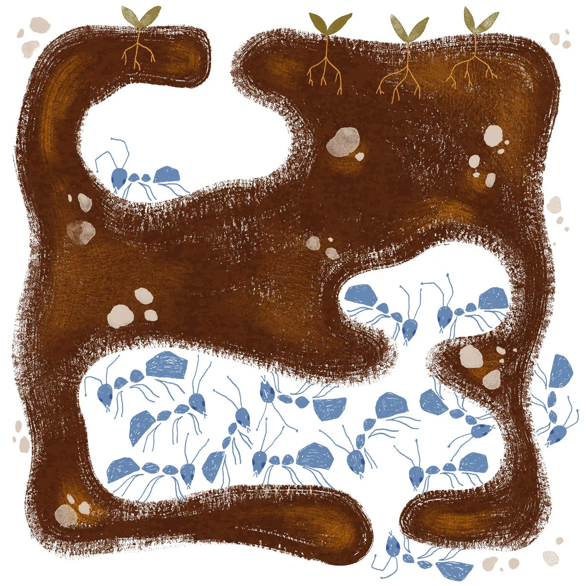 Unveiling the Intricacies: Ants & Their Nests Exposed