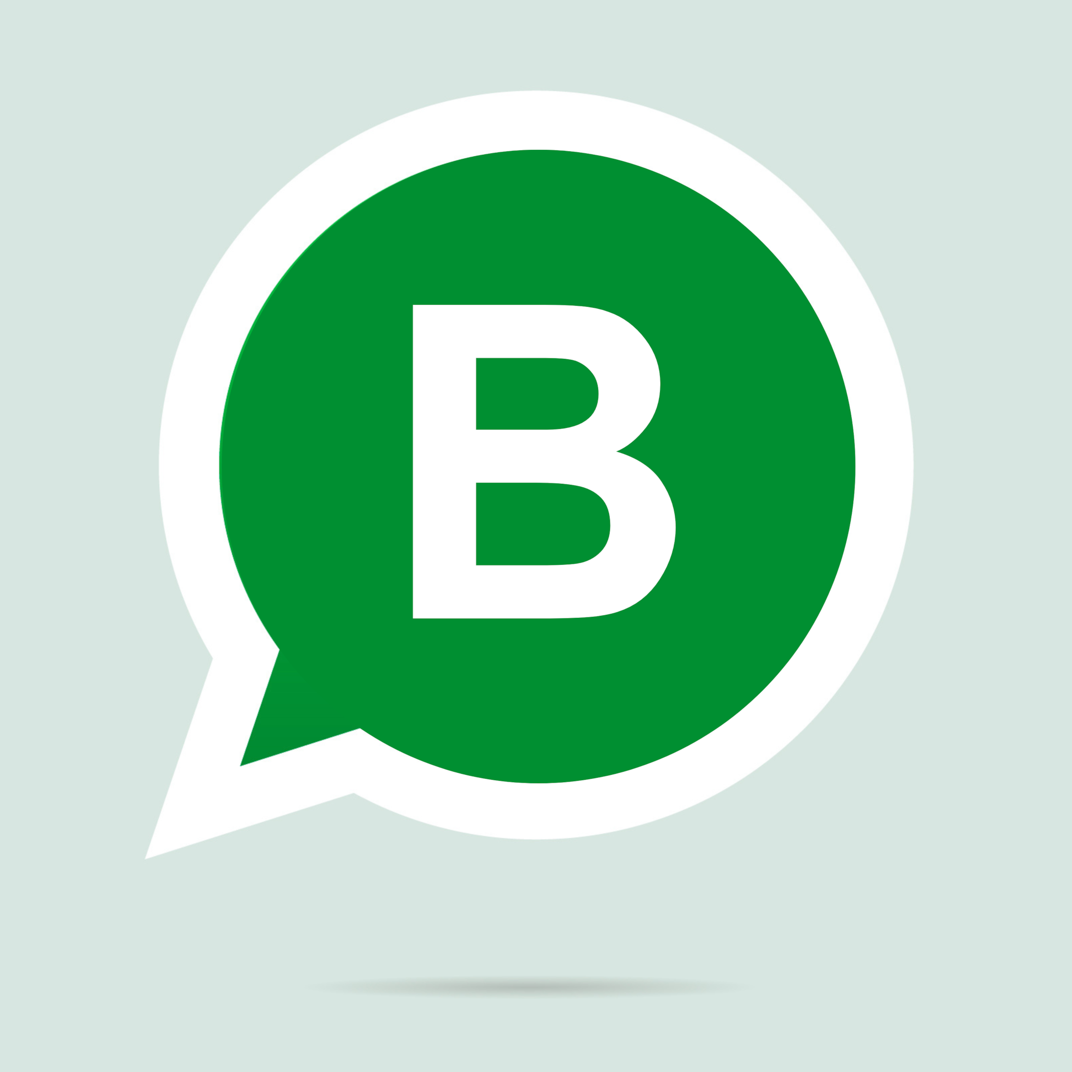 WhatsApp Catalog: A Step-by-Step Guide for Sellers