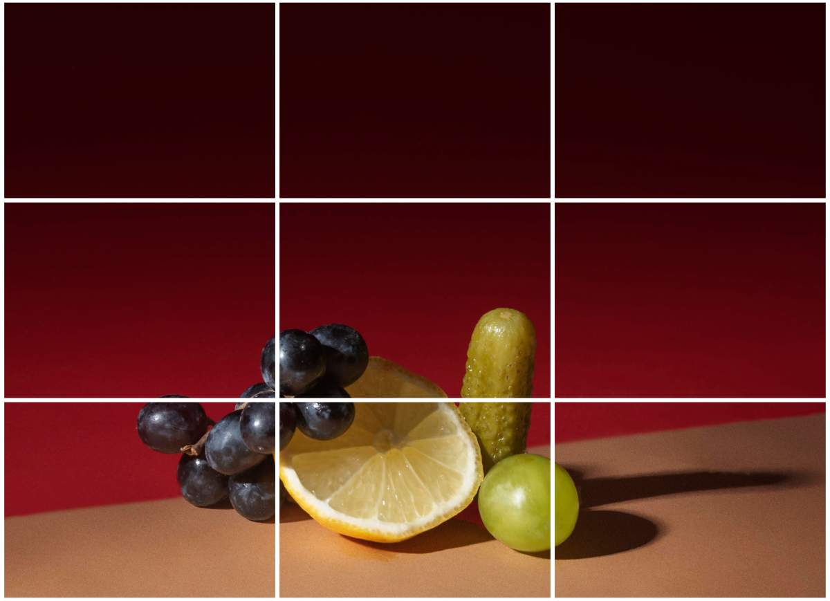What is the Rule of Thirds in Photography? | TYX Studios
