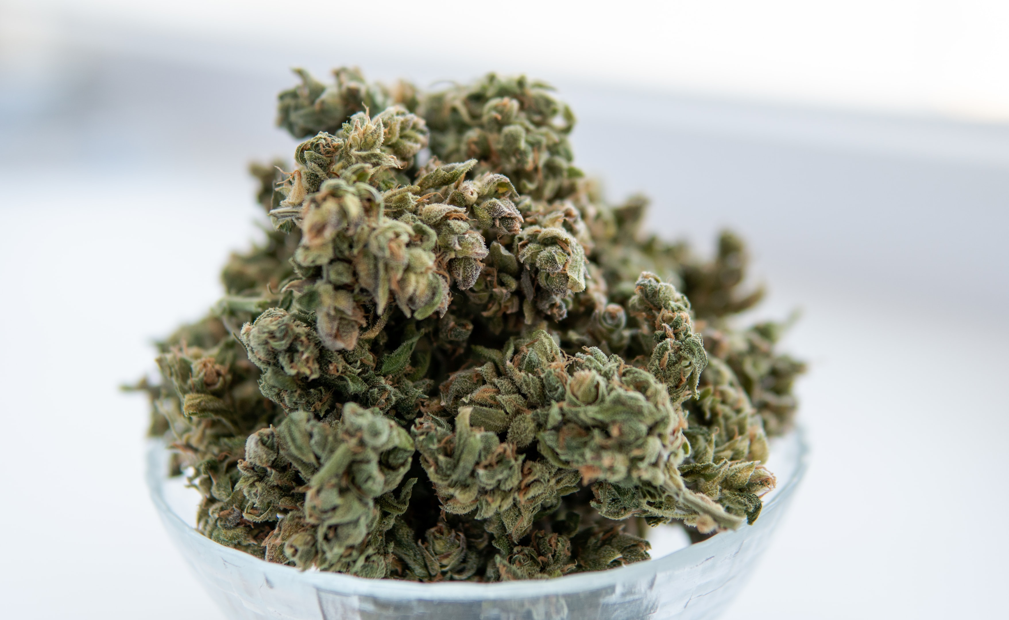 DIY Recipes: Making Edibles With THCA Flower - 3CHI