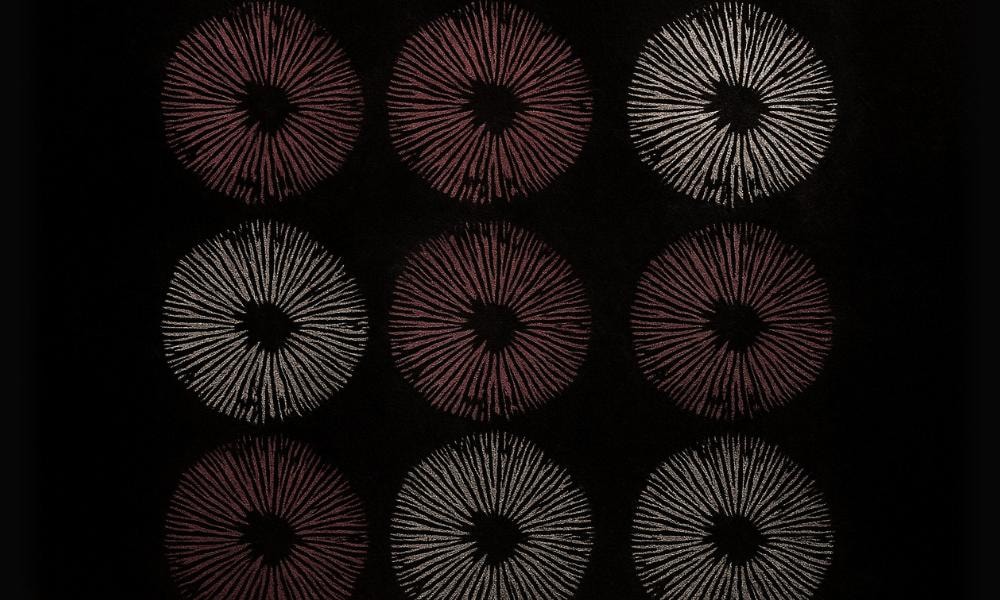 Wavy Cap Mushroom: Complete Identification & Research Guide