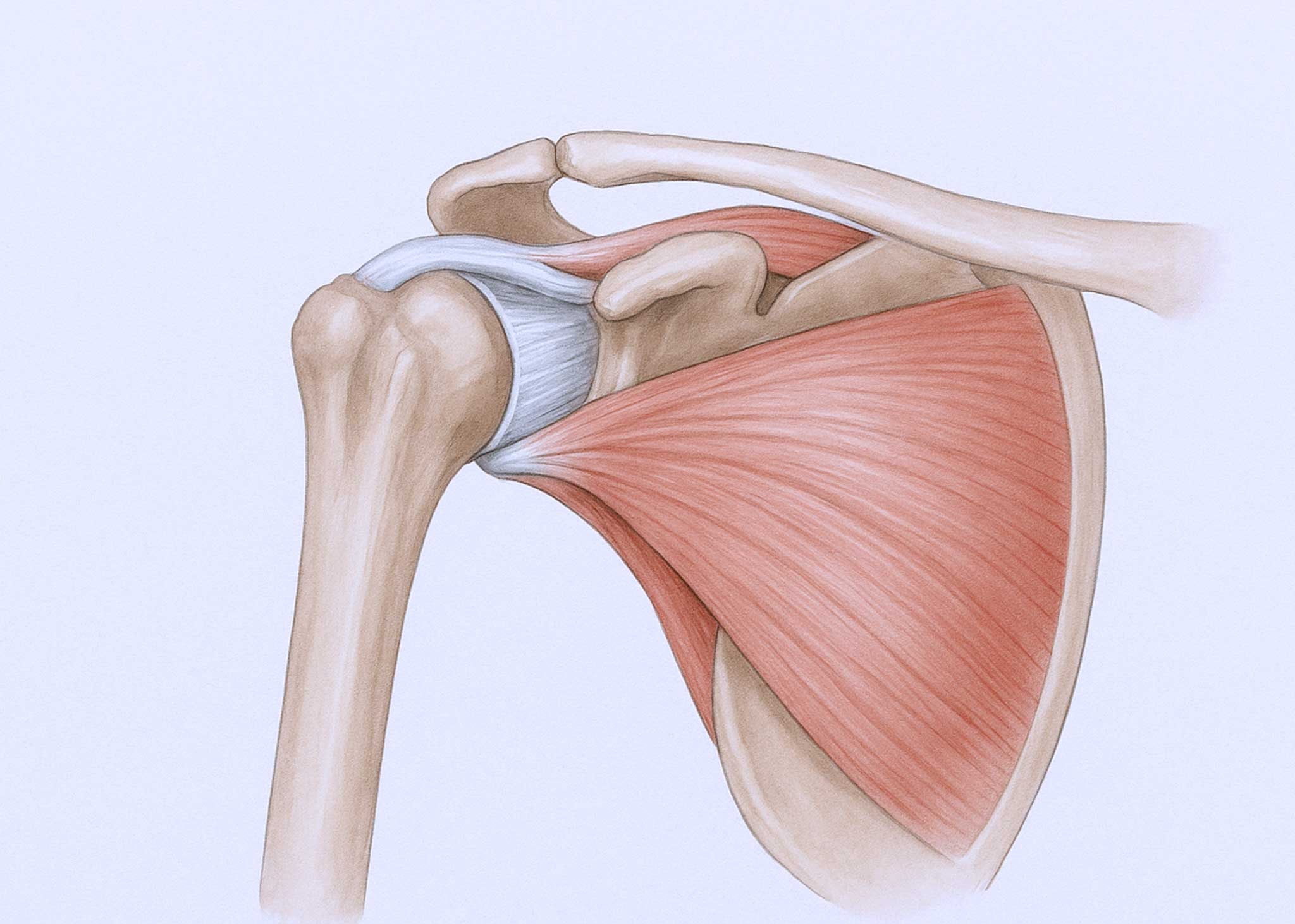 Ból barku przy podnoszeniu ręki - Instytut Chirurgii Barku