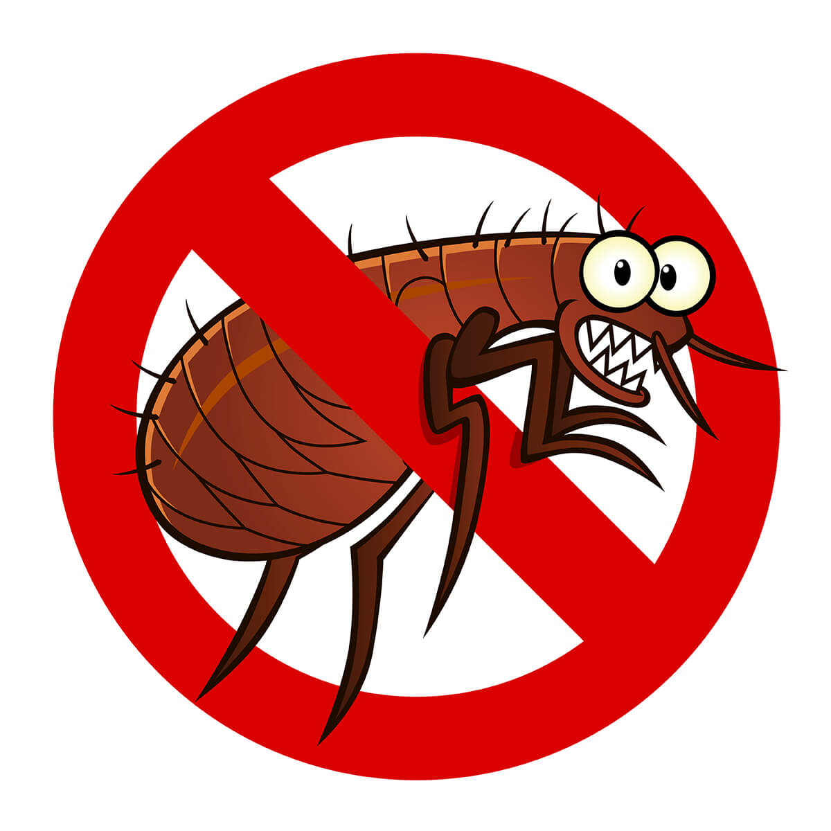 Unveiling the Flea Life Cycle: A Comprehensive Guide