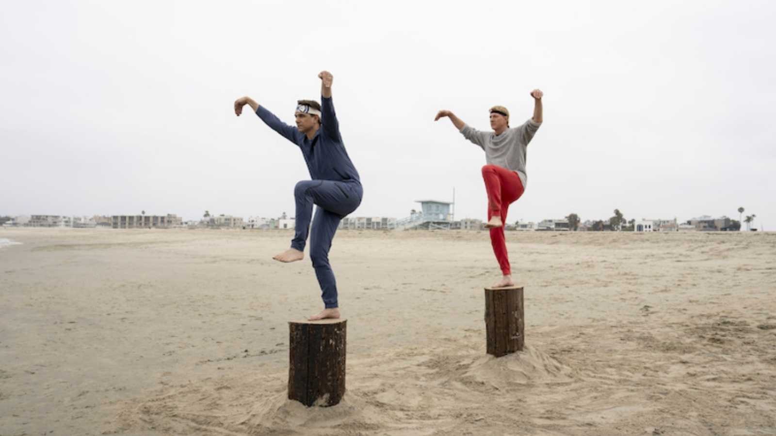 Cobra Kai Season 7 News: Why Netflix Ended It At Season 6