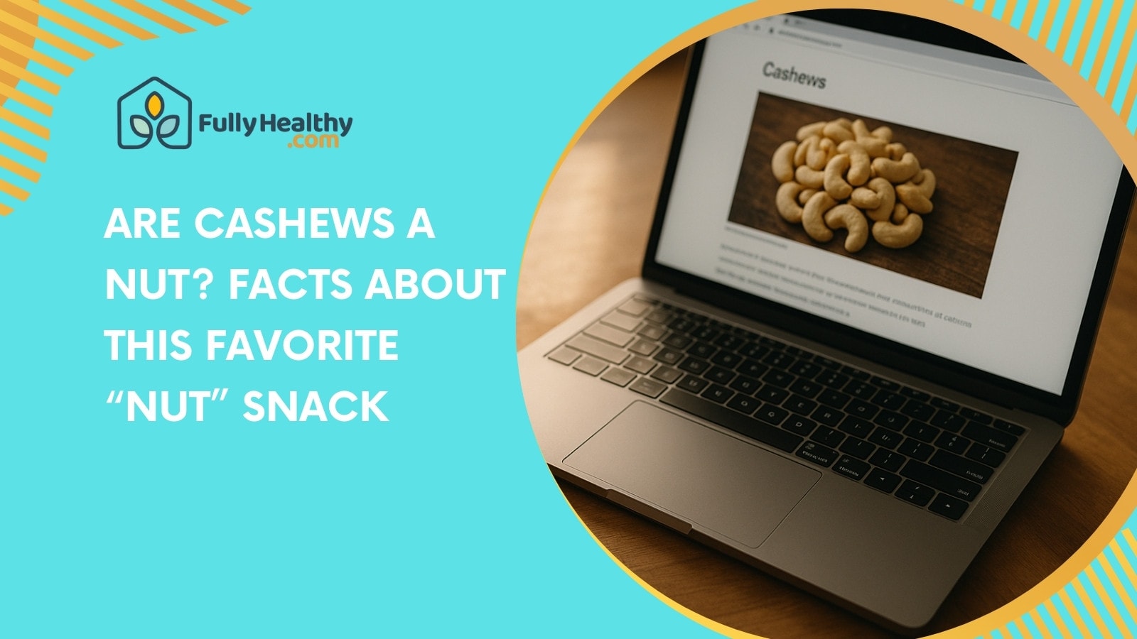Are Cashews a Nut? Facts About This Favorite “Nut” Snack