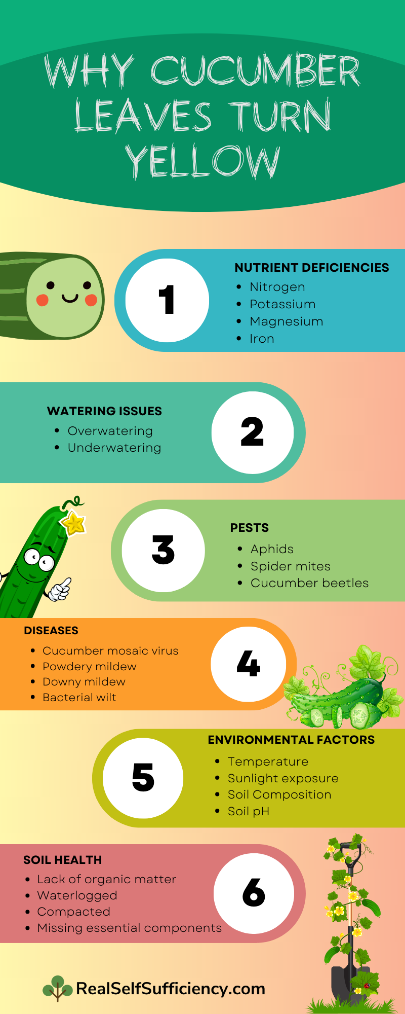 Why Are My Cucumber Leaves Turning Yellow? Causes and Solutions