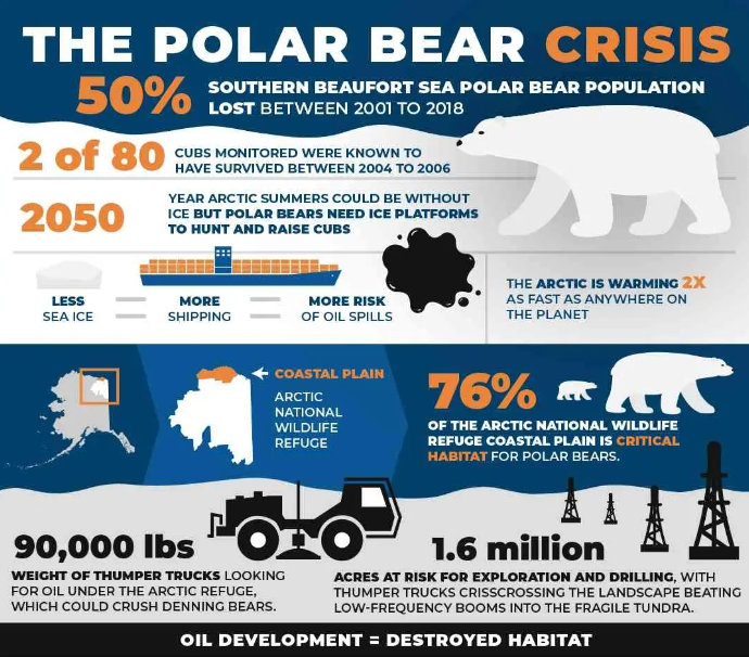 How Does Climate Change Affect Animals? A Complete Guide - Plastic Free ...