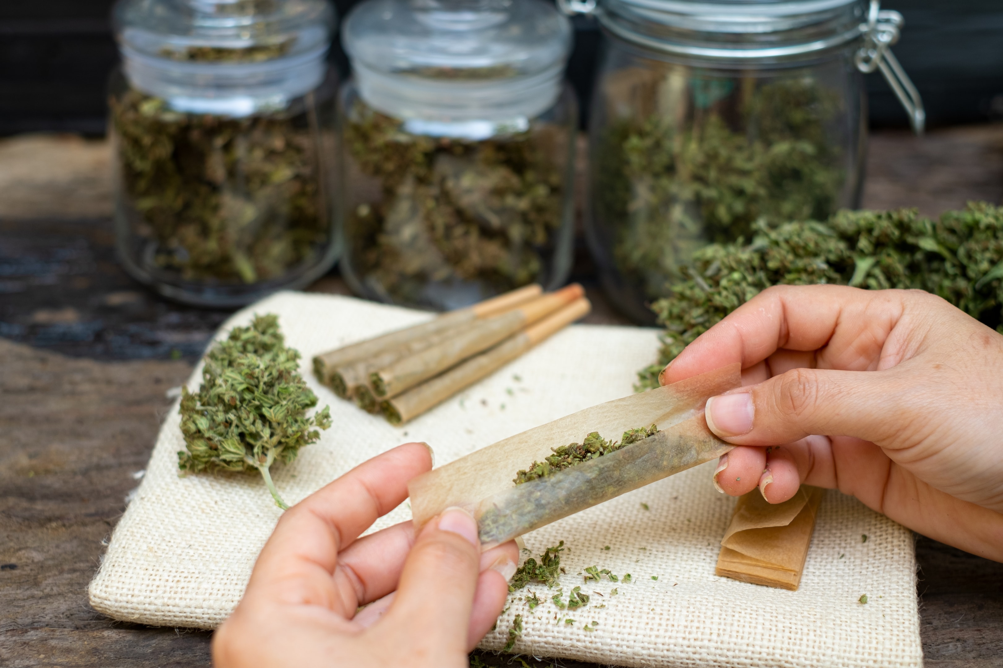 THCA Pre-Rolls: The Convenient Marijuana Alternative You've Been ...