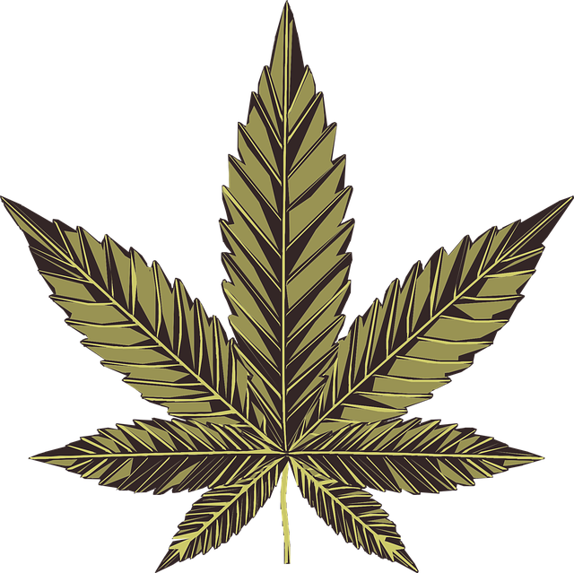 400 Great Stoner Usernames 400 Great Stoner Usernames