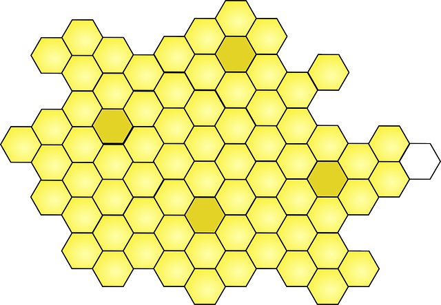 How Do Bees Make Honeycomb? - D-Termination