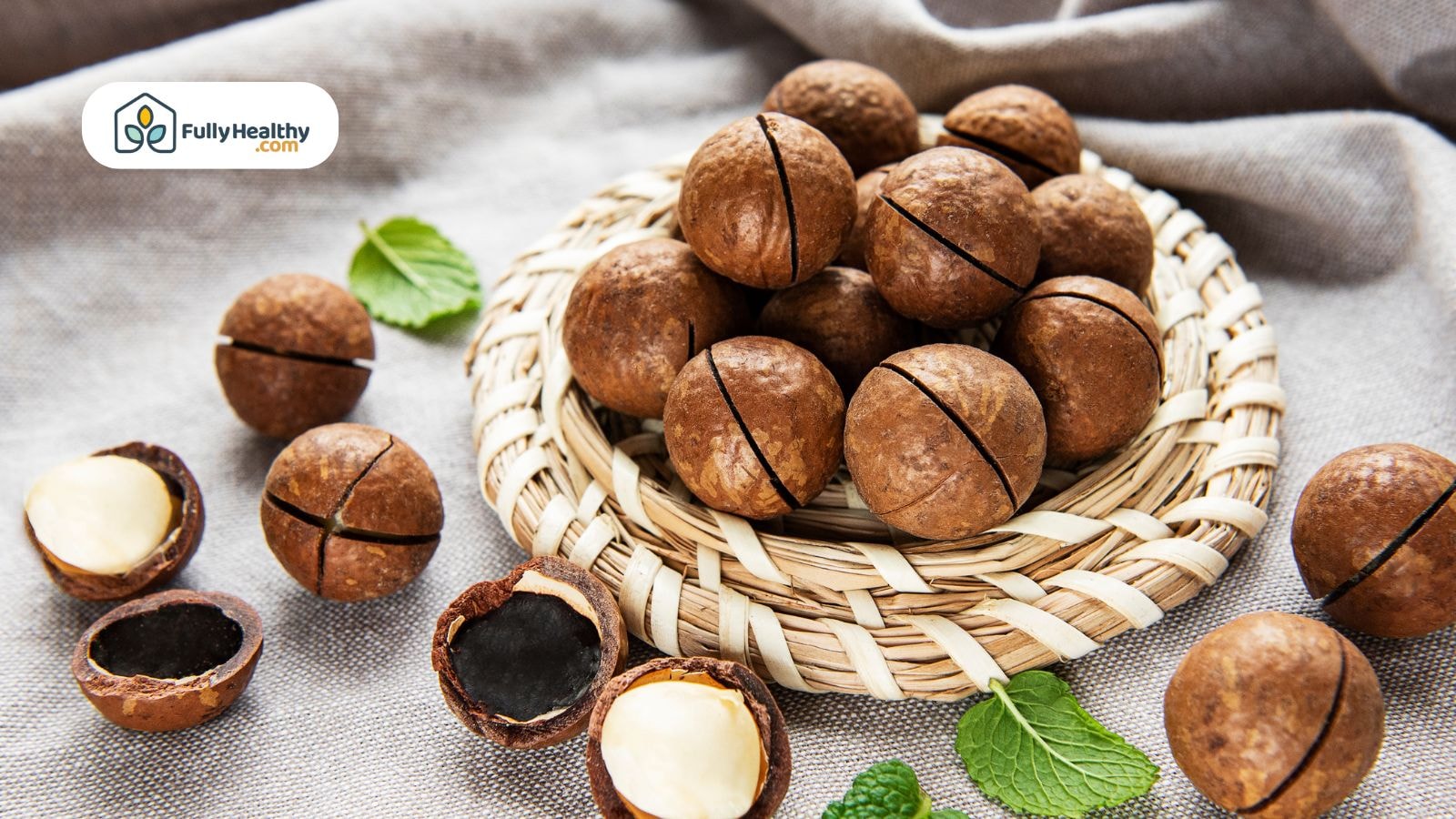 Where Do Macadamia Nuts Come From? History, Trees, and Taste