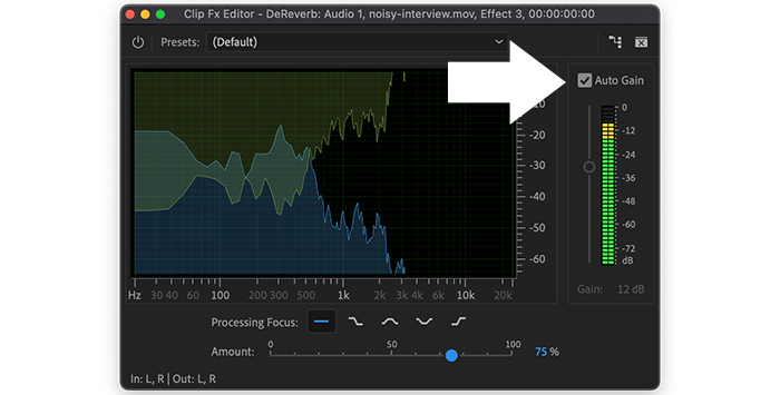  How To Reduce Echo In Premiere Pro Step By Step Tutorial