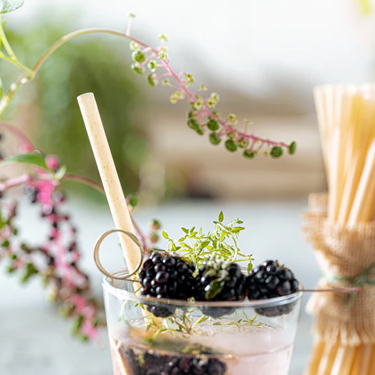 3 Compostable Straws-You Don’t Know - Homestraw