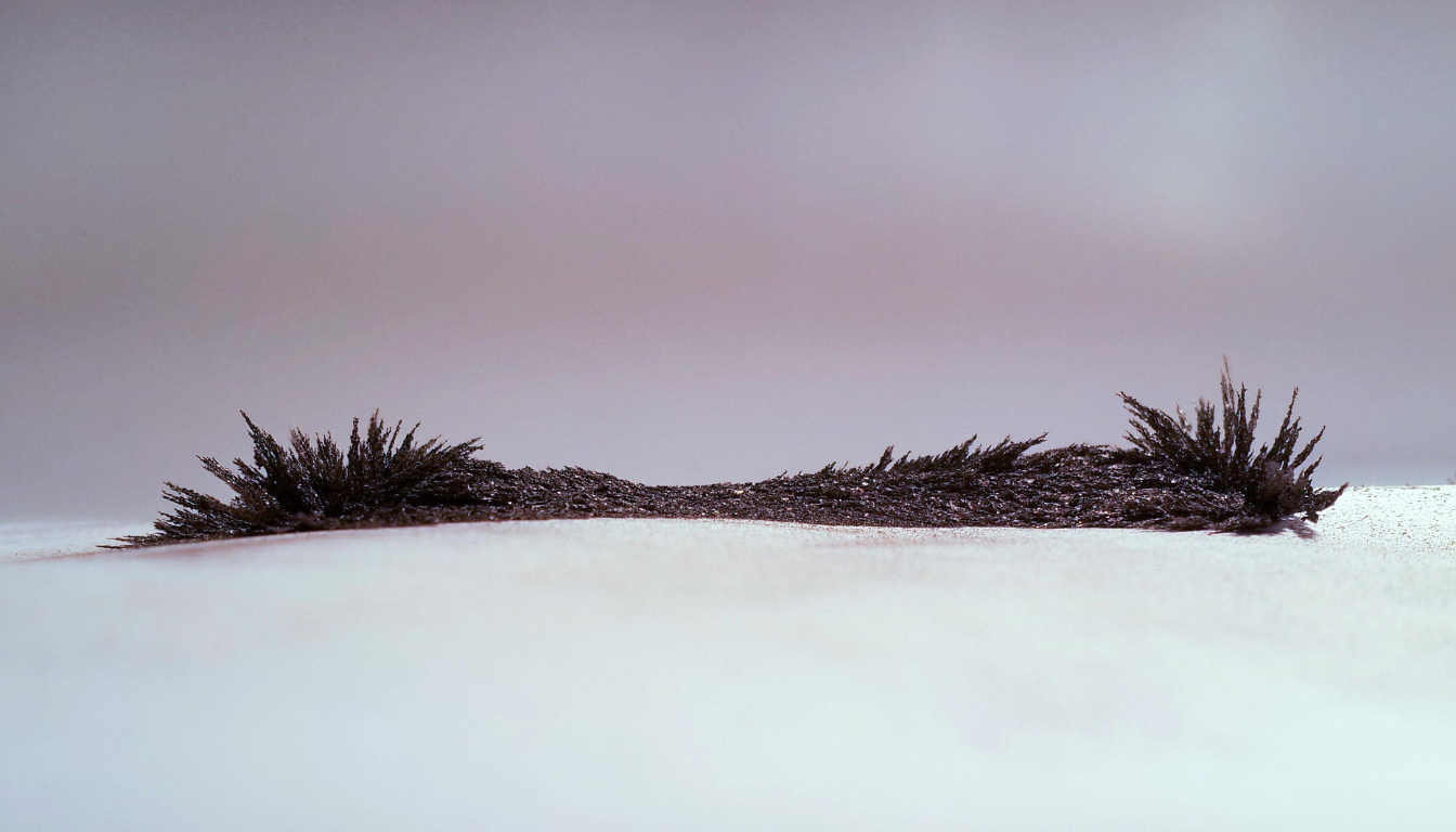 Ferromagnetic Vs. Paramagnetic Vs. Diamagnetic Explained. - Mainrich ...