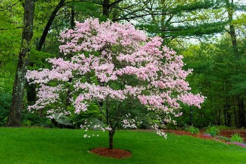 Spring Getaways In New England: Top 11 Most Unique Spots To Visit