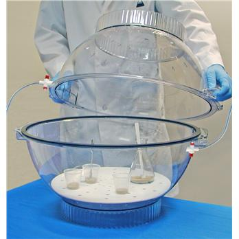 A Comprehensive Desiccator Guide [Updated 2024]