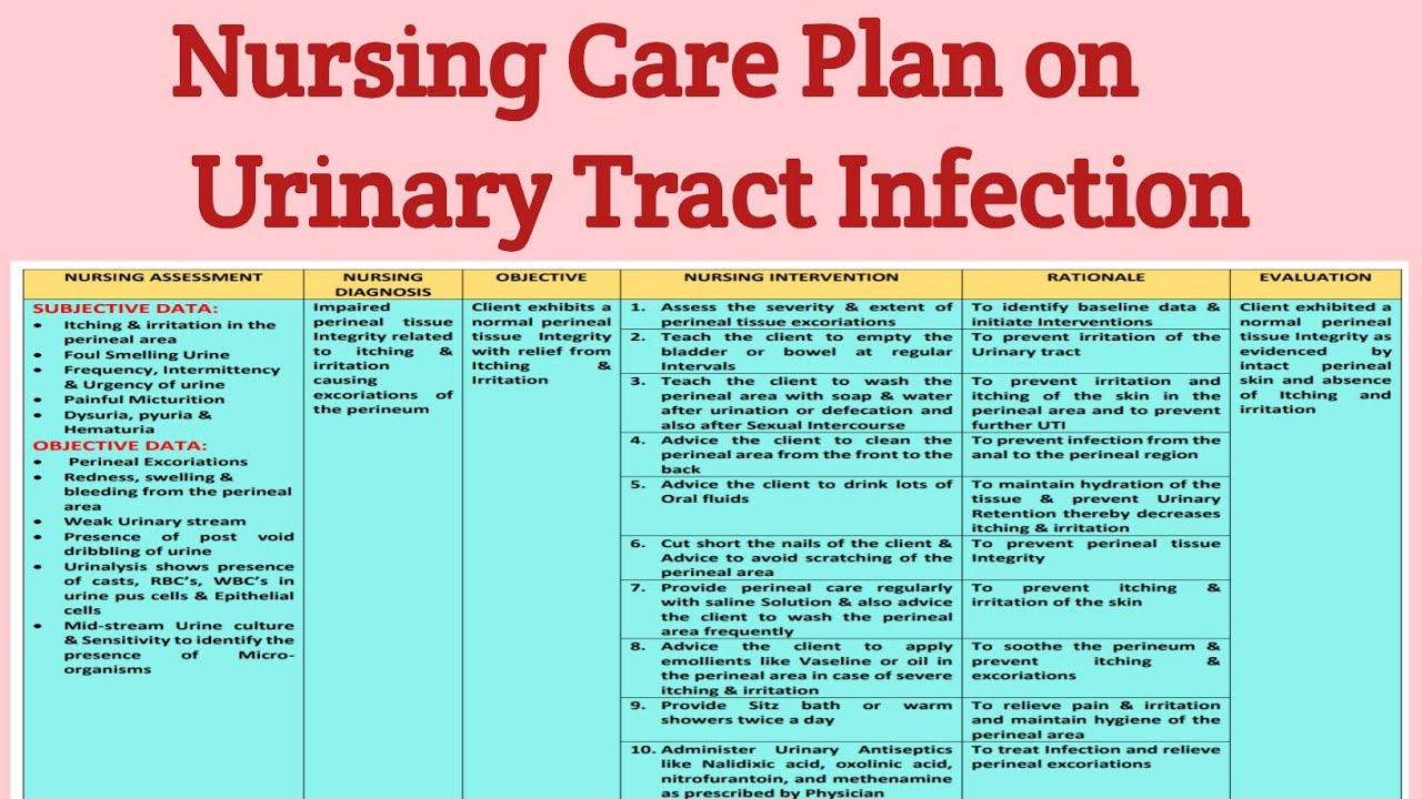 New 5 Main Components Of A Care Plan