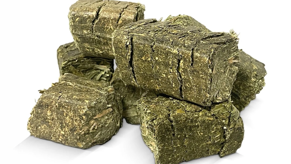 Alfalfa Hay Cubes: Where to Buy & Its Benefits