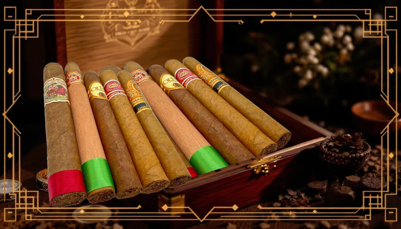 Top Recommended Cigars for Novice Smokers: A Beginner's Guide - Cuenca ...
