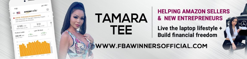 Tamara Tee Review (August 2023 Update): Worst FBA...Ever?