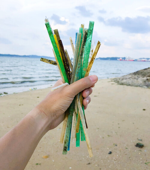 Paper Straws Vs Plastic Straws - Homestraw
